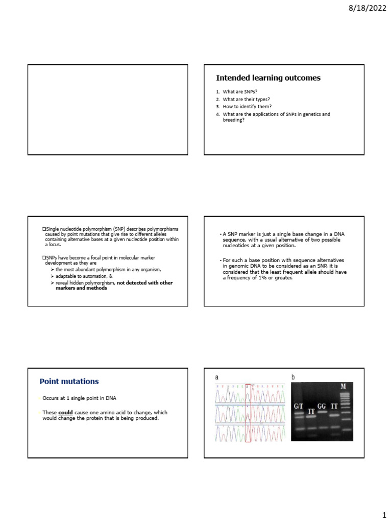 9 - SNP Markers & Their Applications | PDF | Single Nucleotide Polymorphism | Point Mutation