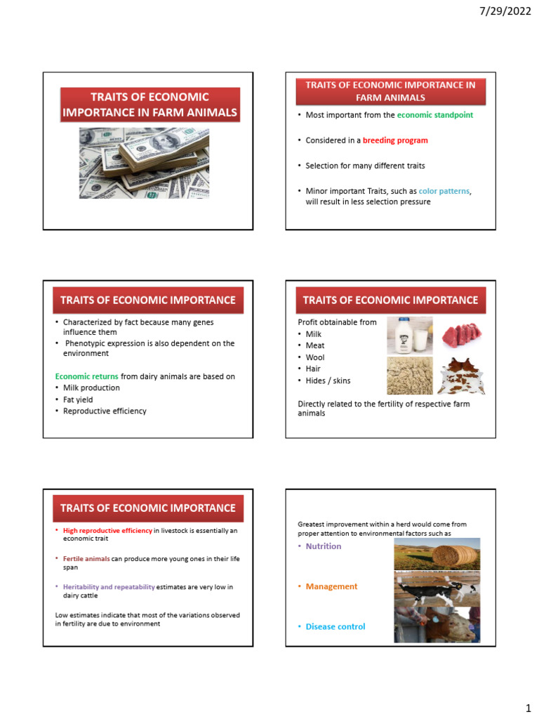 Economic Traits in Farm Animals | PDF | Dairy Cattle | Cattle
