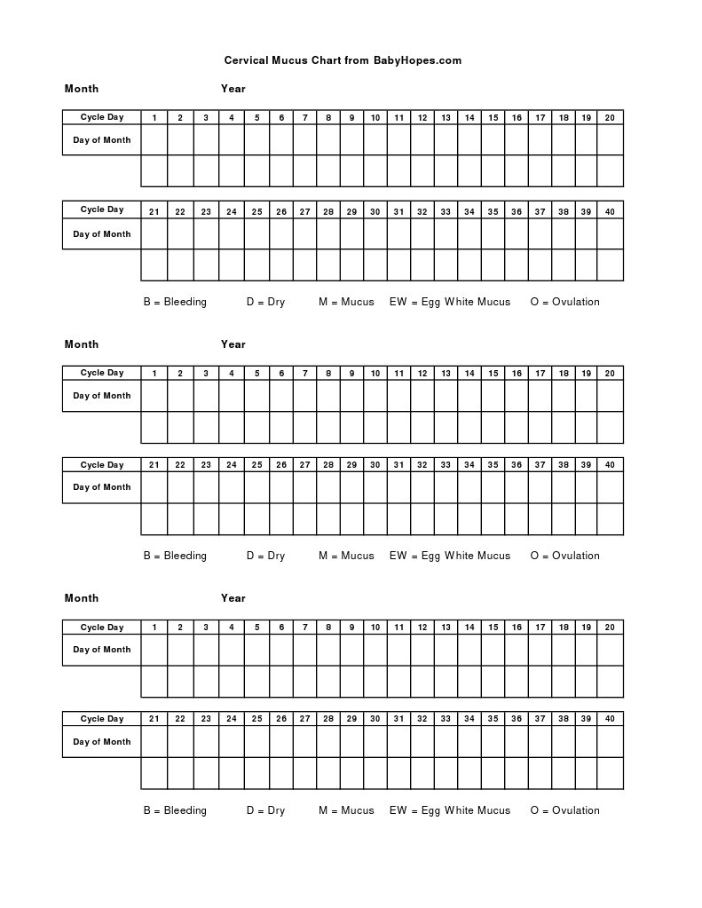 Cervical Mucus Cycle Chart Guide | PDF