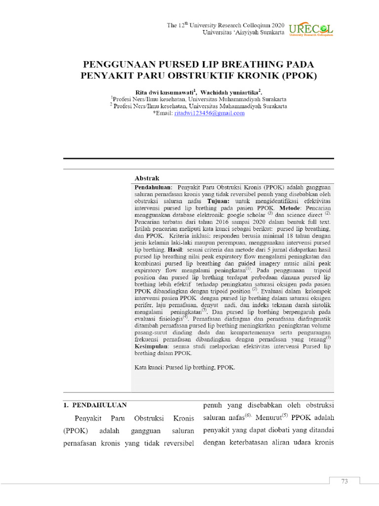 Penggunaan Pursed Lip Breathing Padapenyakit Paru Obstruktif Kronik (Ppok) | PDF