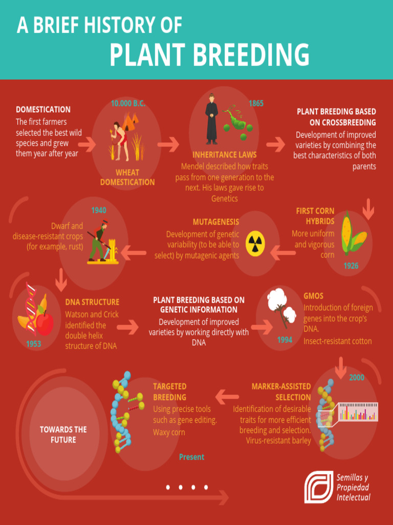 A brief history of plant breeding- | PDF | Plant Breeding | Genetics