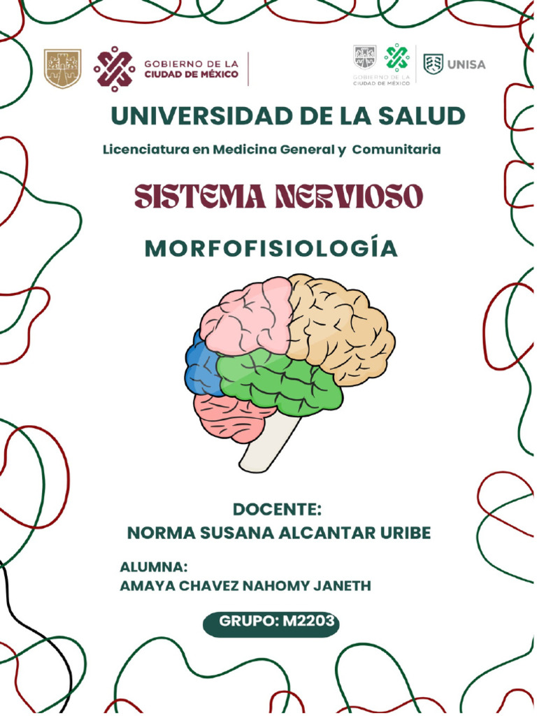 MD SN1 Chavez Amaya Nahomy Janeth 20241030 234449 0000 | PDF