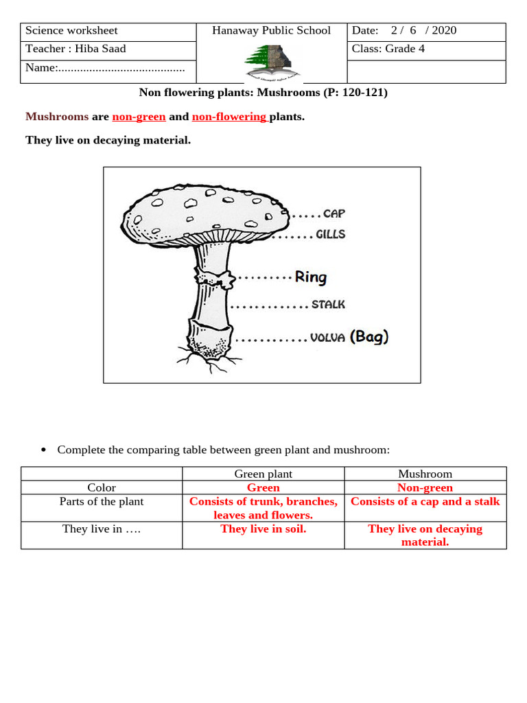 Mushrooms | PDF