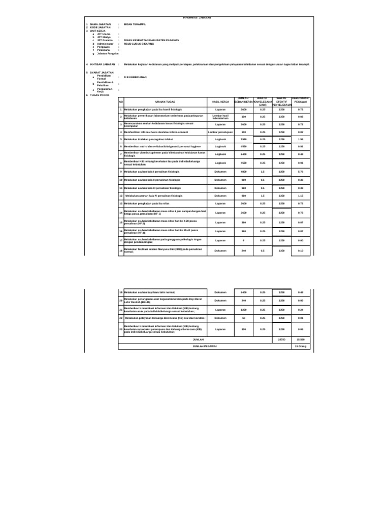 Anjab Bidan Terampil | PDF