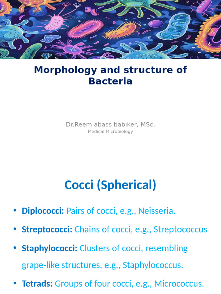 Morphology, Structure of Bacteria | PDF | Bacteria | Cell (Biology)