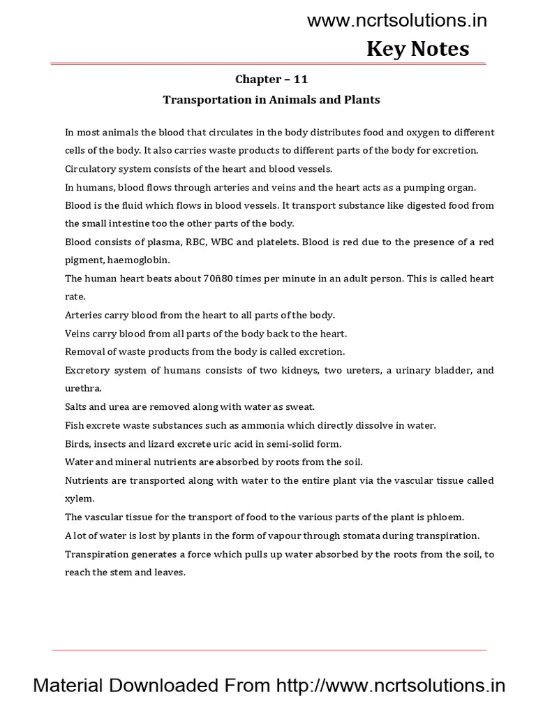 07 Science Key Notes ch11 Transportation in Animals and Plants | PDF