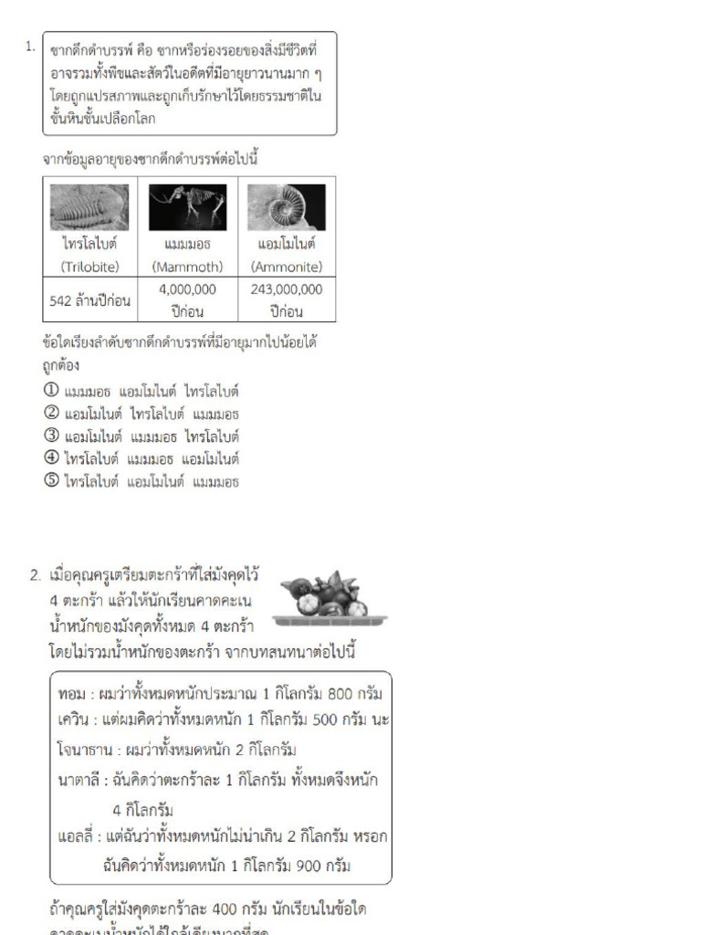 tedet ป.4 | PDF