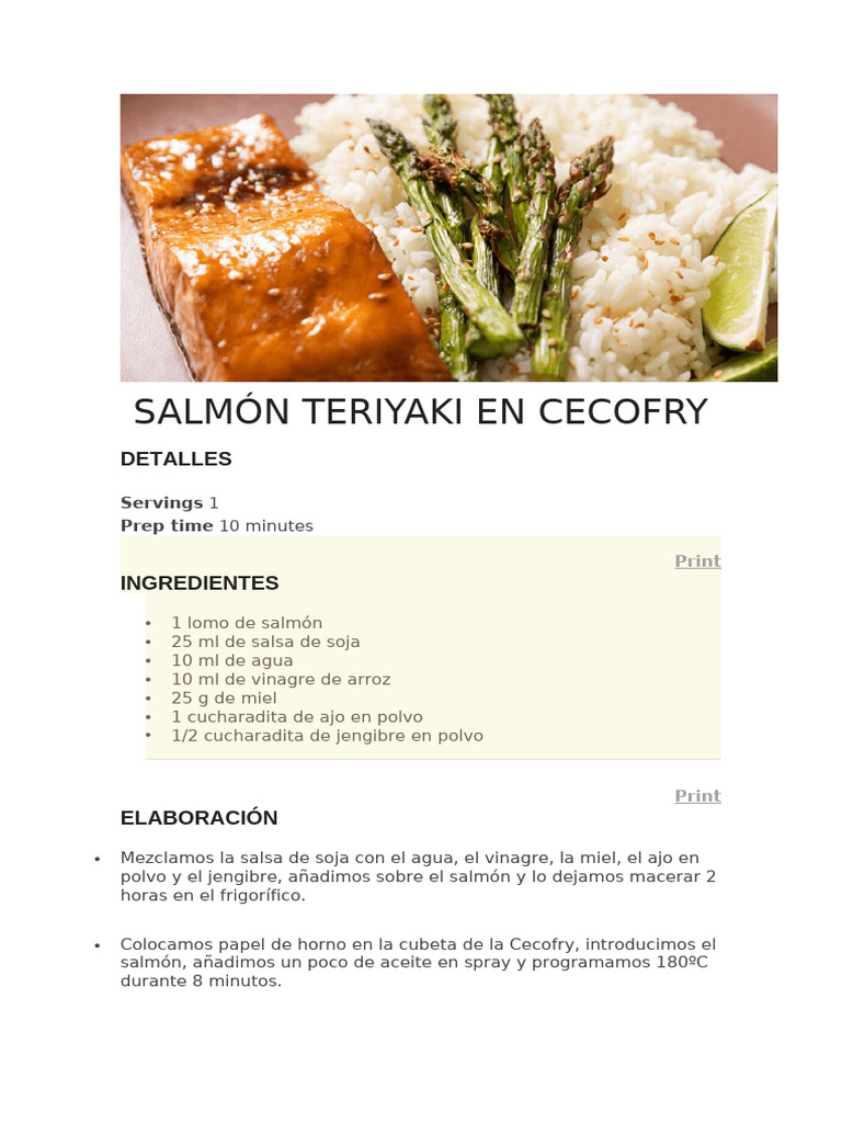 Salmón Teriyaki en Cecofry | PDF