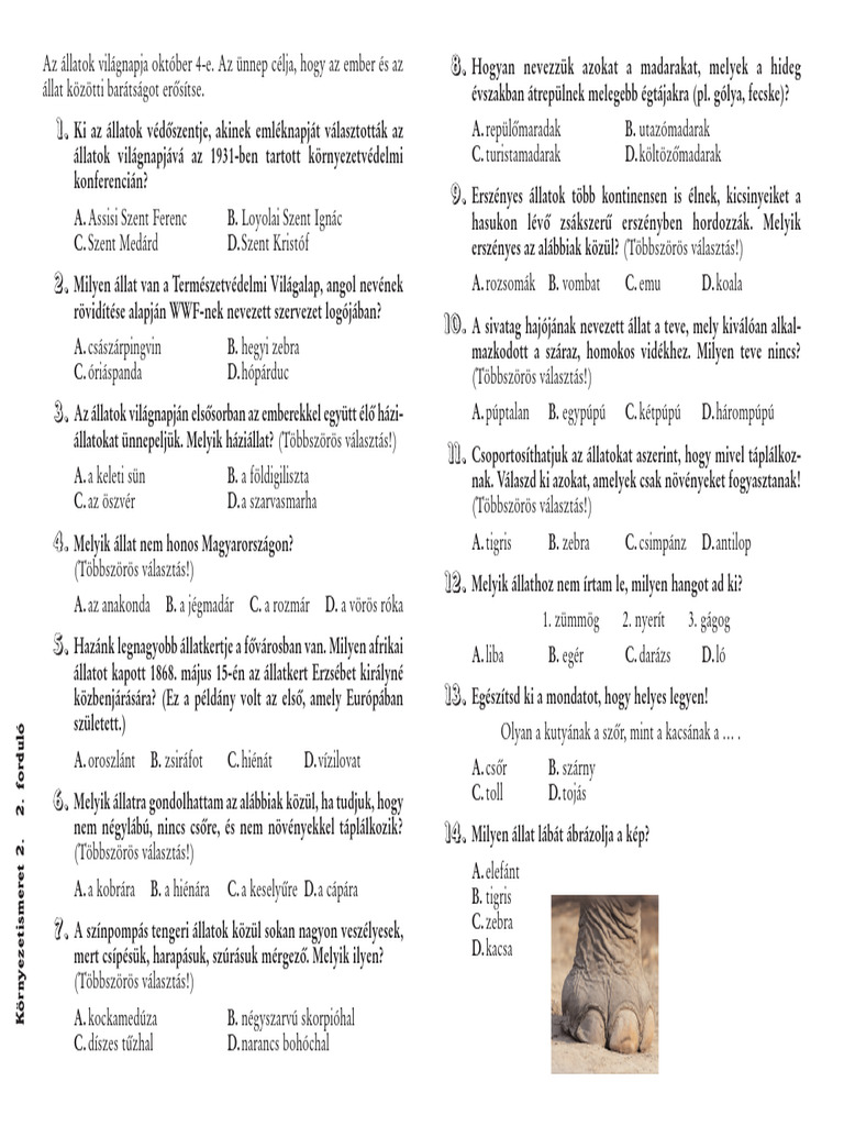 Bendeguz Kornyezet 2o 2 | PDF