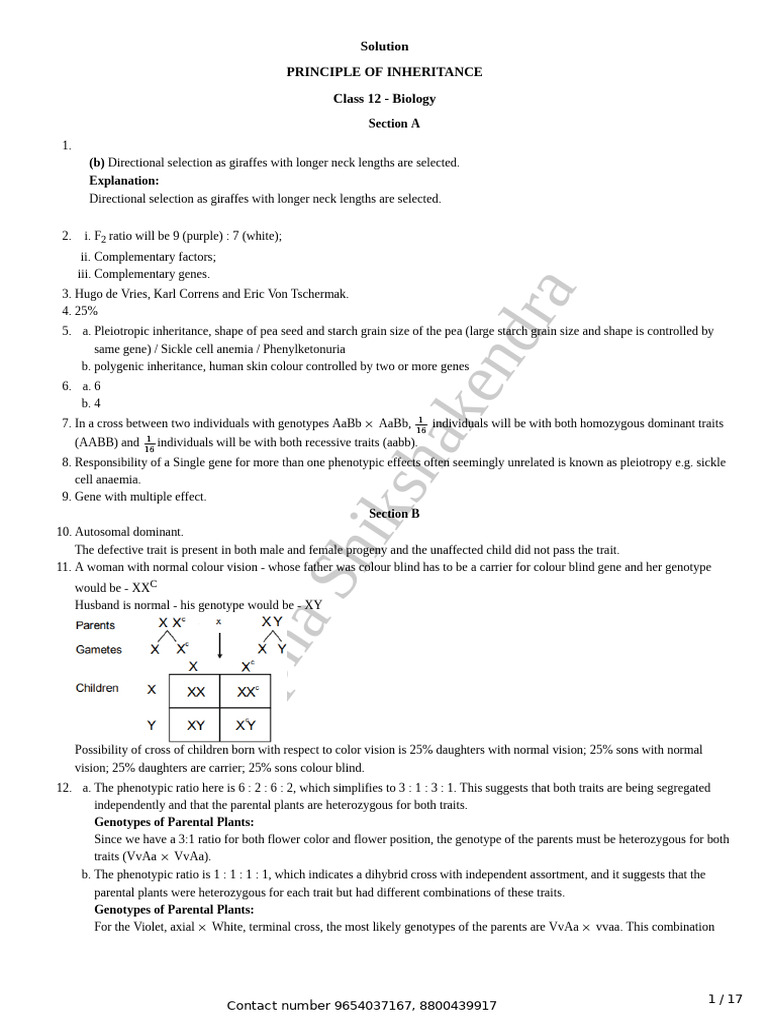 Principle of Inheritance Solution | PDF | Dominance (Genetics) | Genotype