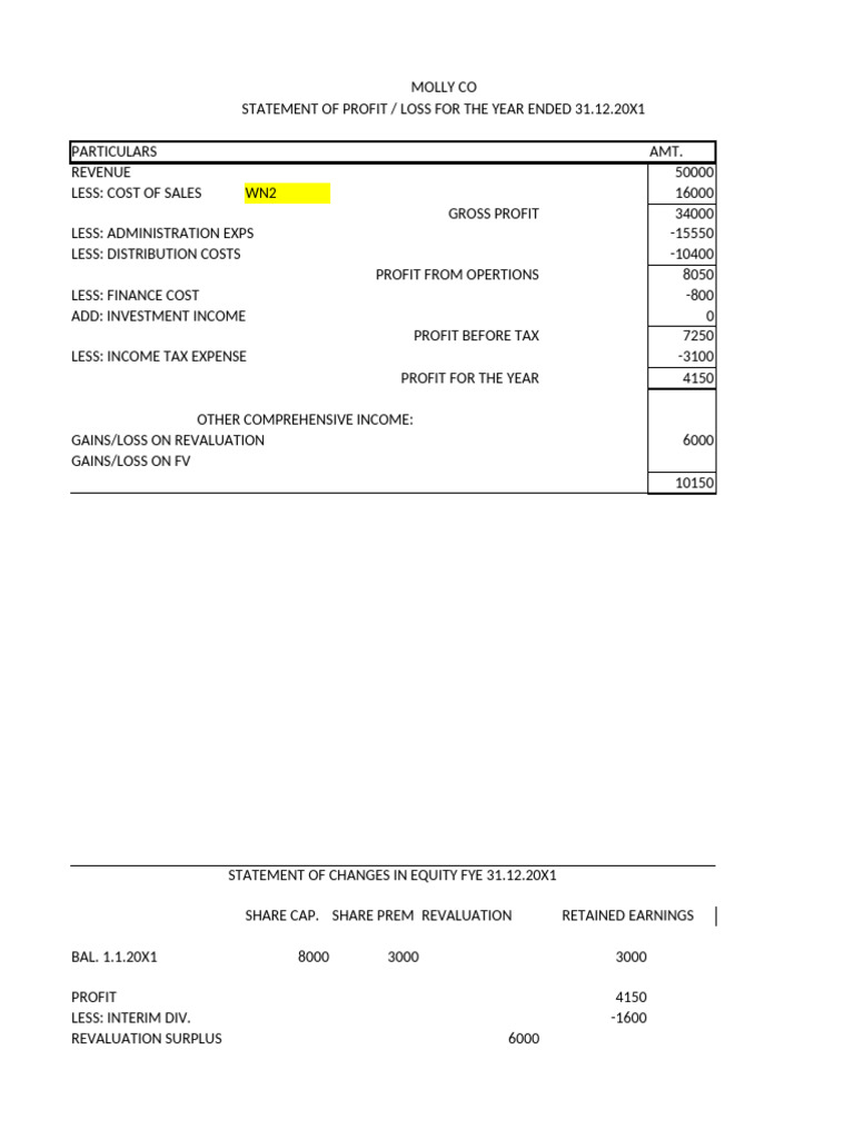 Molly Co. Financial Statement Summary | PDF | Equity (Finance ...