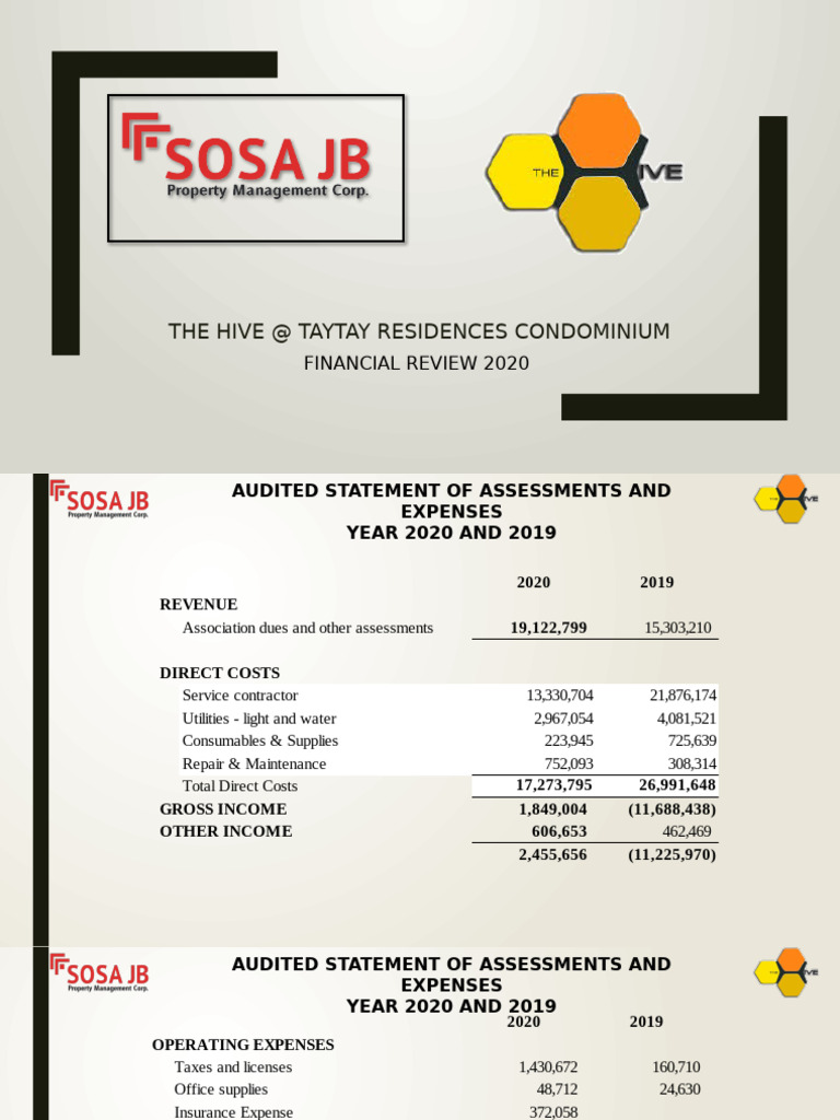 The Hive Financial Review 2020 | PDF | Expense | Equity (Finance)
