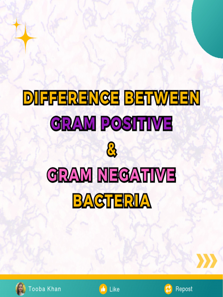 Gram Positive V - S Gram Negative Bacteria | PDF | Gram Positive ...