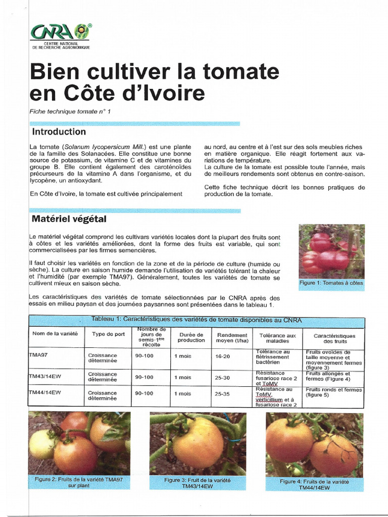 Ftec Tomate | PDF