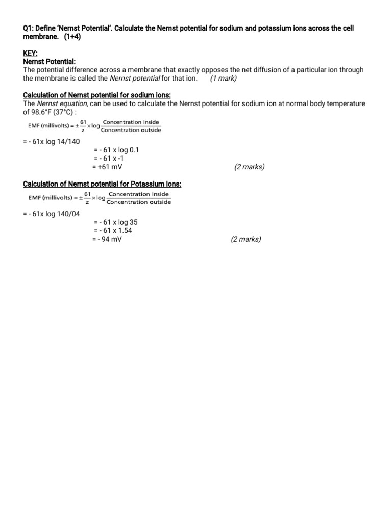 Nerve and Muscle SEQs | PDF | Physical Chemistry | Scientific Phenomena