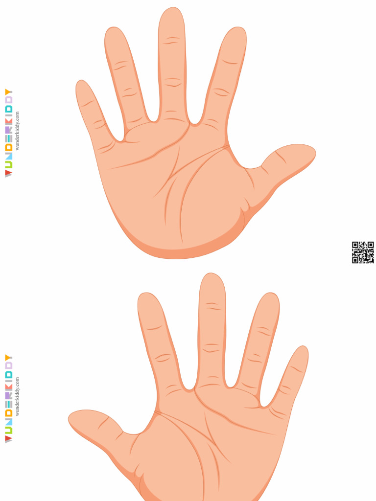 Wunderkiddy Hand Washing | PDF