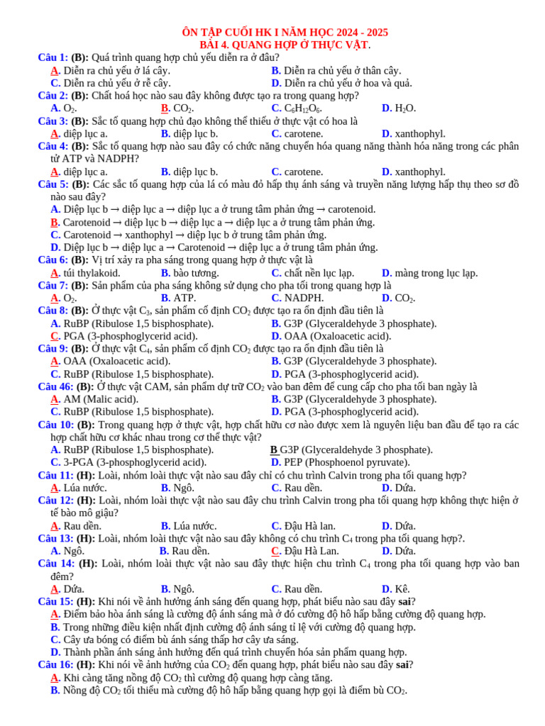 ĐÁP ÁN ÔN TẬP HKI 11 2024 | PDF