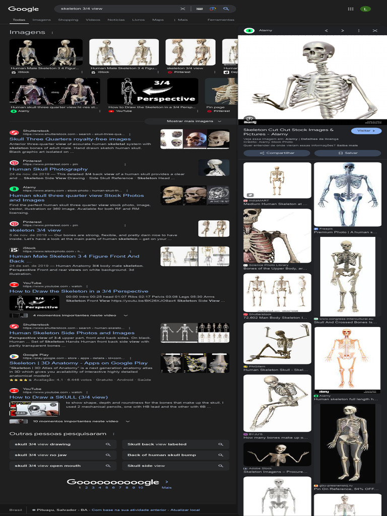 Human Skeleton 3/4 View Images | PDF | Skull | Skeleton