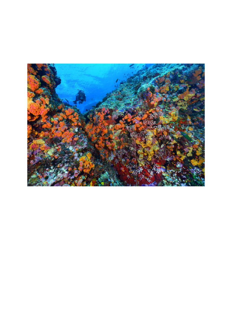 TM 203 Unit 7 Aguilar Alayon BSTM 3A | PDF | Conservation Biology ...