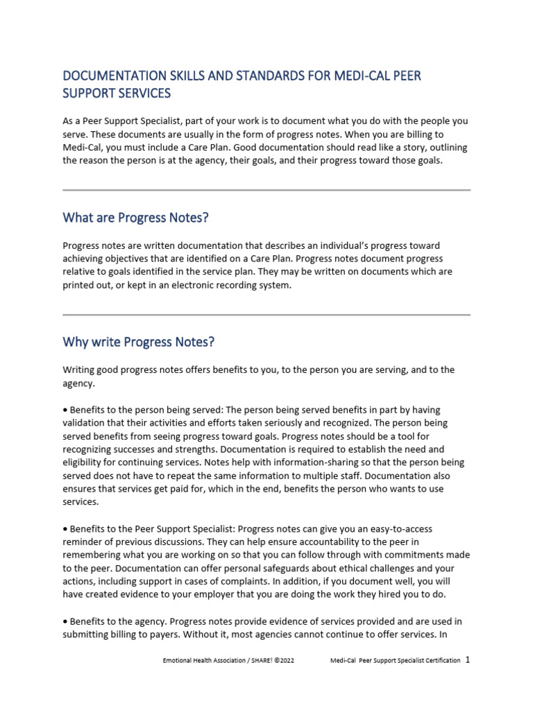 Medi-Cal Documentation Skills and Standards | PDF | Mental Health | Health Care