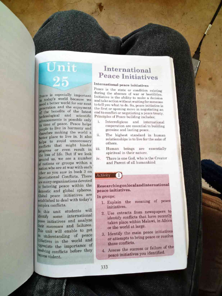 Unit 25 - International Peace Initiatives | PDF