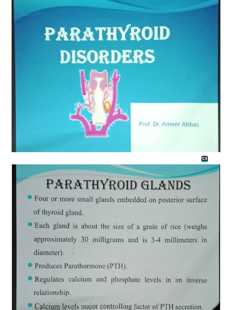 Parathyroid Disorders. Pathology | PDF