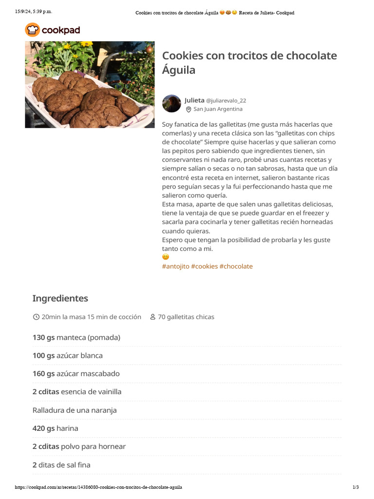 Deliciosas cookies de chocolate caseras | PDF | Chocolate | Galleta