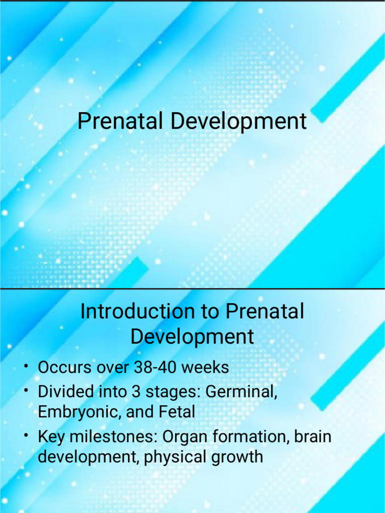 Prenatal Development Presentation | PDF