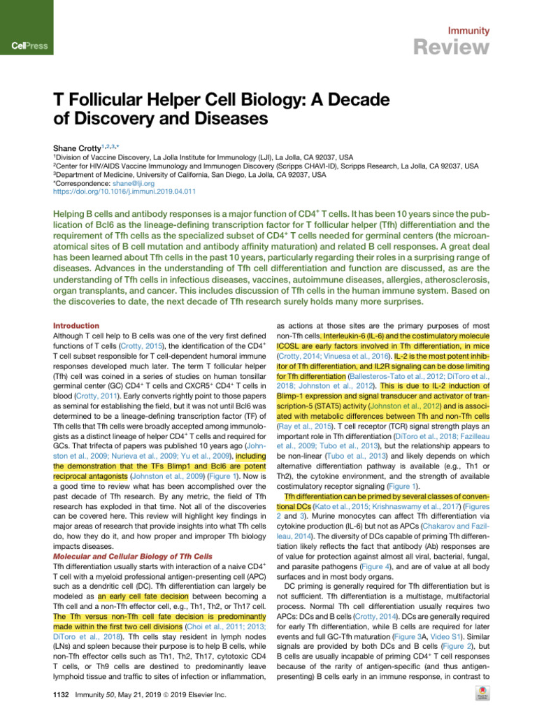 T Follicular Helper Cells: Insights & Impact | PDF | T Helper Cell | Dendritic Cell