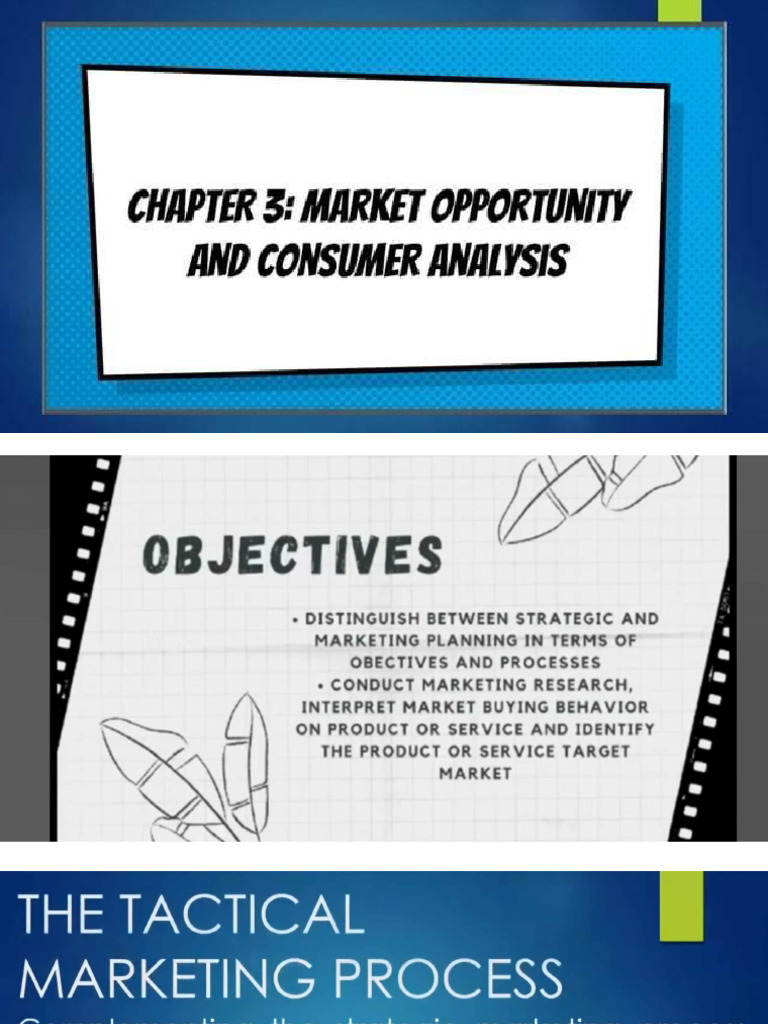 CHAPTER 3 Tactical Marketing Process | PDF