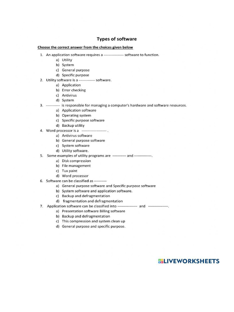 Software Worksheet | PDF