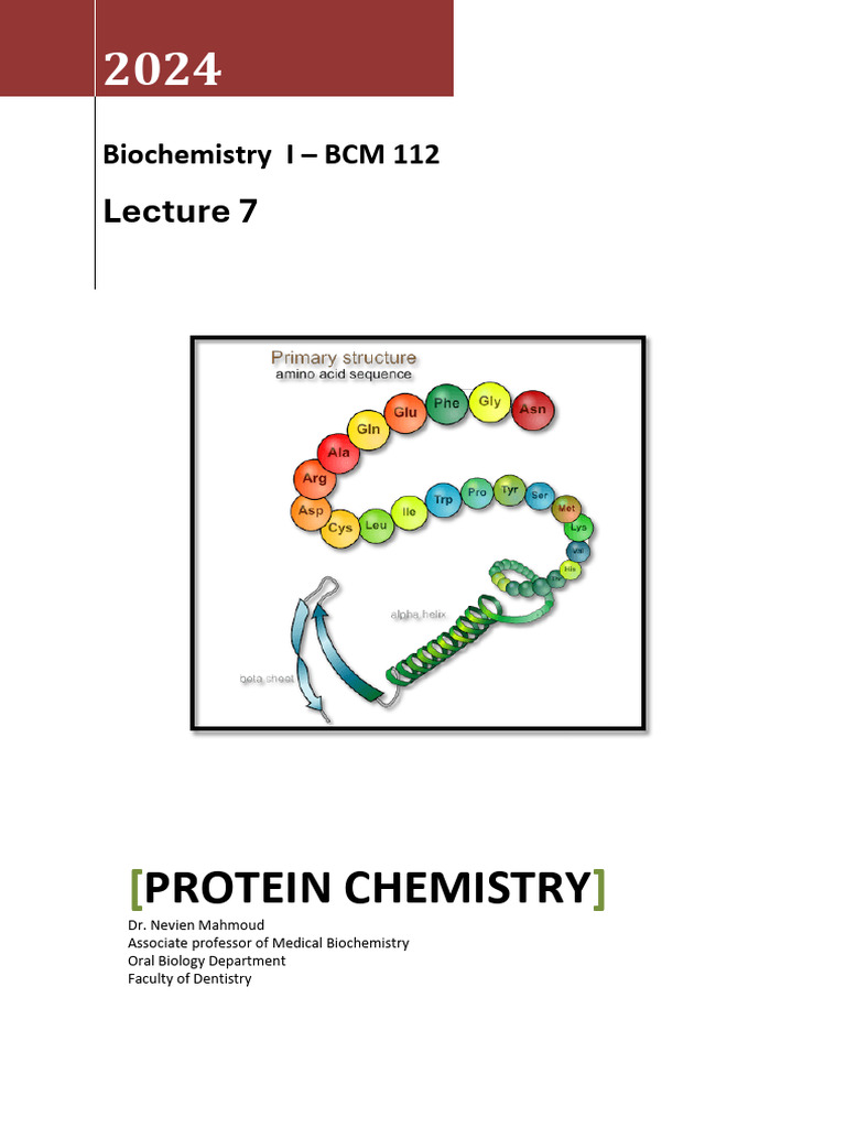 Protein Chemistry Overview and Functions | PDF | Proteins | Amino Acid