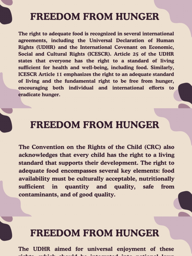 Human Rights Education | PDF