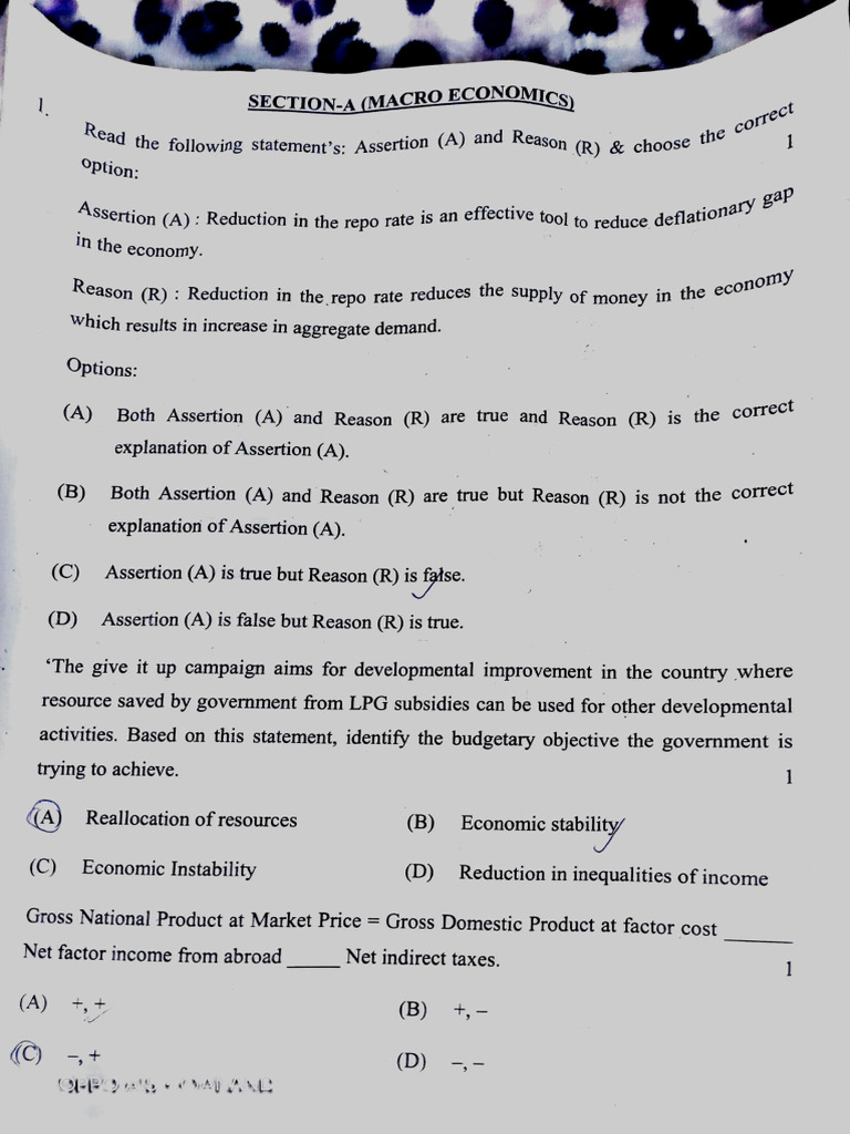 Government School Economics Paper | PDF