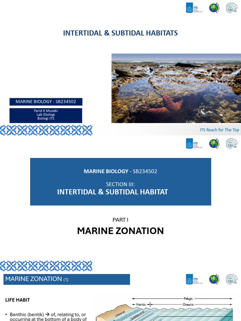 Intertidal - Subtidal Habitat | PDF | Littoral Zone | Benthic Zone