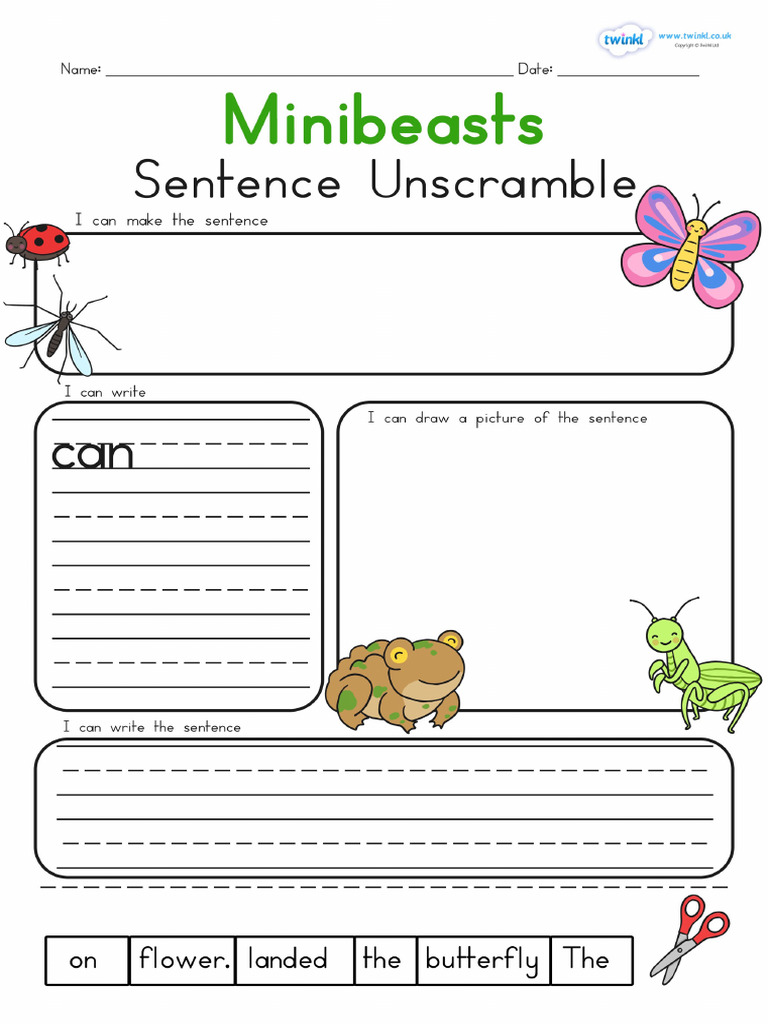Minibeast Cute Sentence Unscramble | PDF