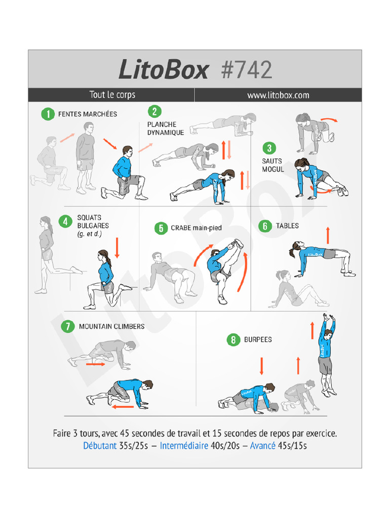 Litobox Circuit 742 | PDF