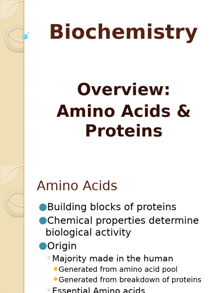 Amino Acids and Proteins Overview | PDF | Proteins | Amino Acid