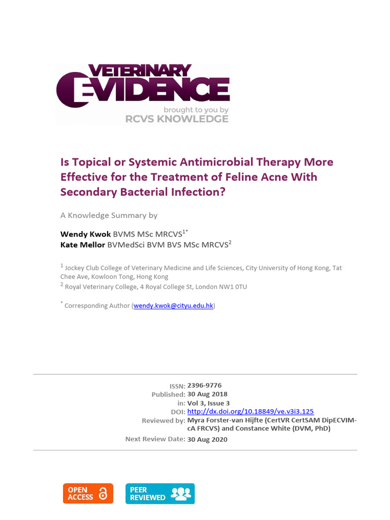 Feline Acne With Scondary Bacterial Infection | PDF | Health Care ...