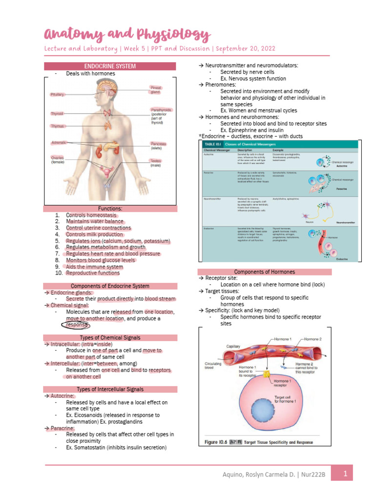 Anaphy Week5 Endocrine | PDF | Hormone | Cell Signaling
