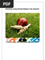 Cricket Physical-Education-Project | PDF | Games Of Physical Skill ...