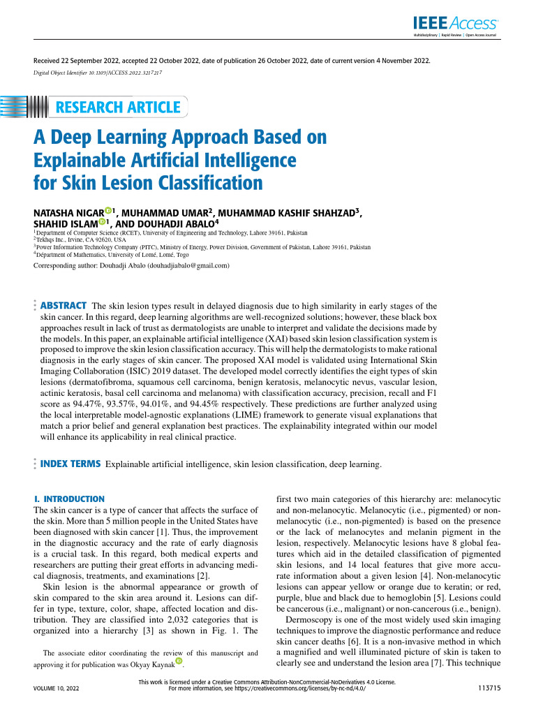 AI for Dermatologists: Skin Lesion Insights | PDF | Deep Learning ...