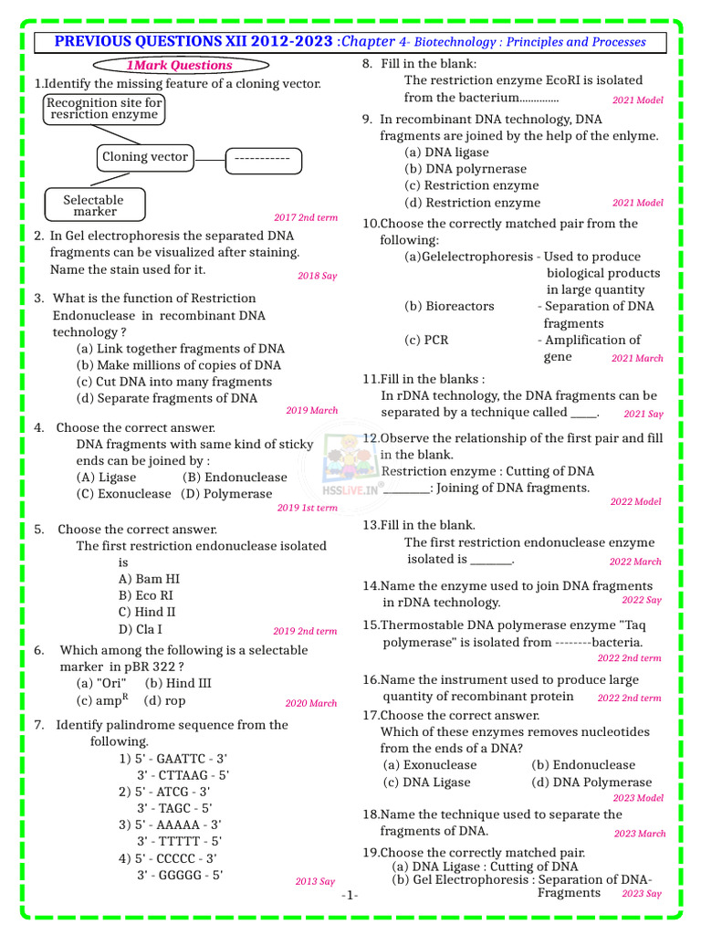 Hsslive_XII_Bot_Chapter 4 Biotechnology _ Principles and Processes | PDF | Polymerase Chain ...