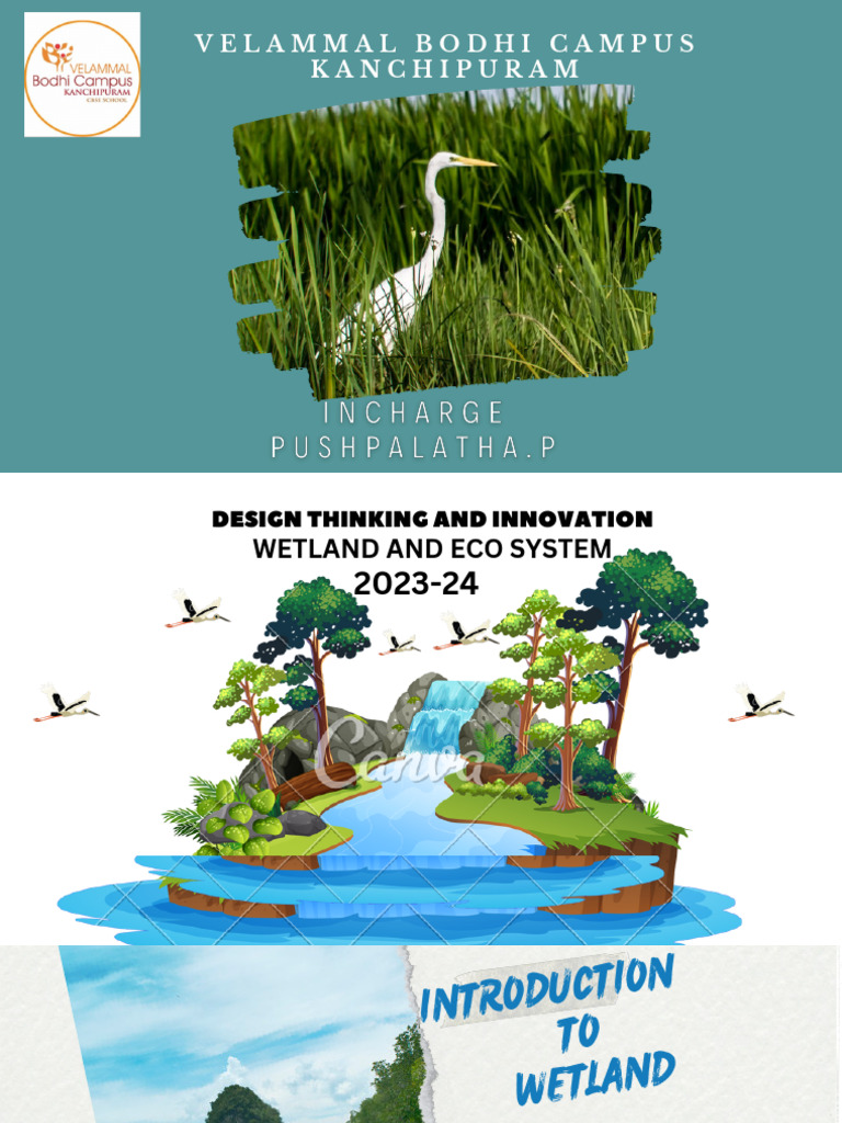 Save Water, Save Earth Rally by Scouts Students | PDF