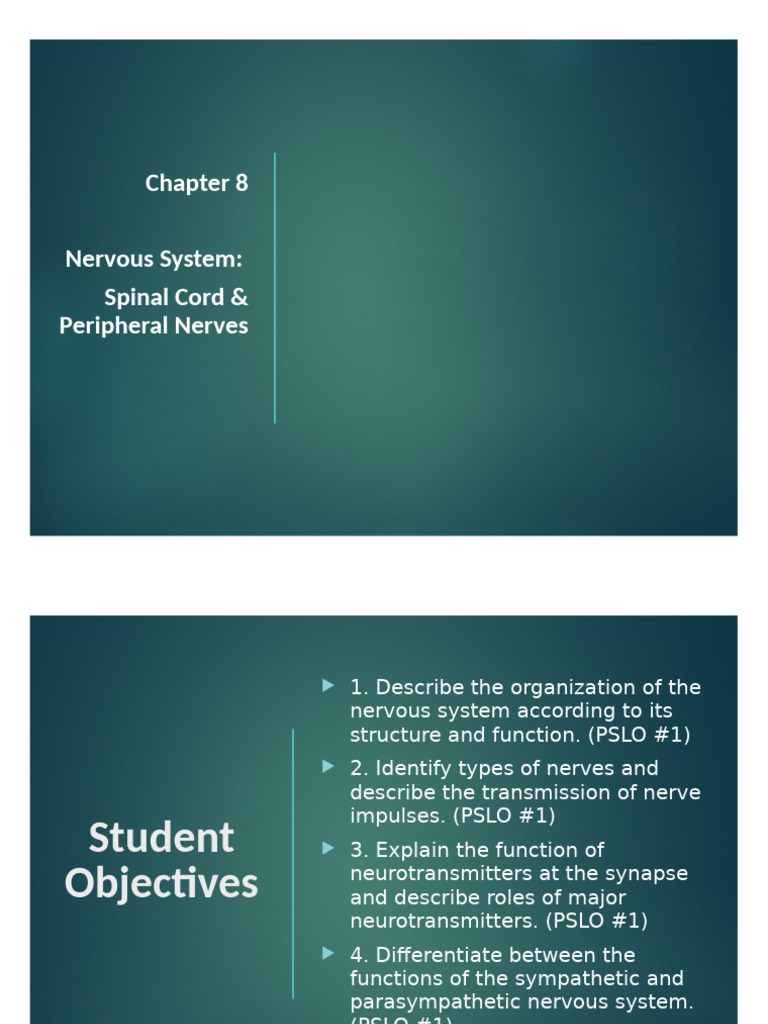 Chapter 8 - Nervous System - 1.1 | PDF | Nervous System | Central ...