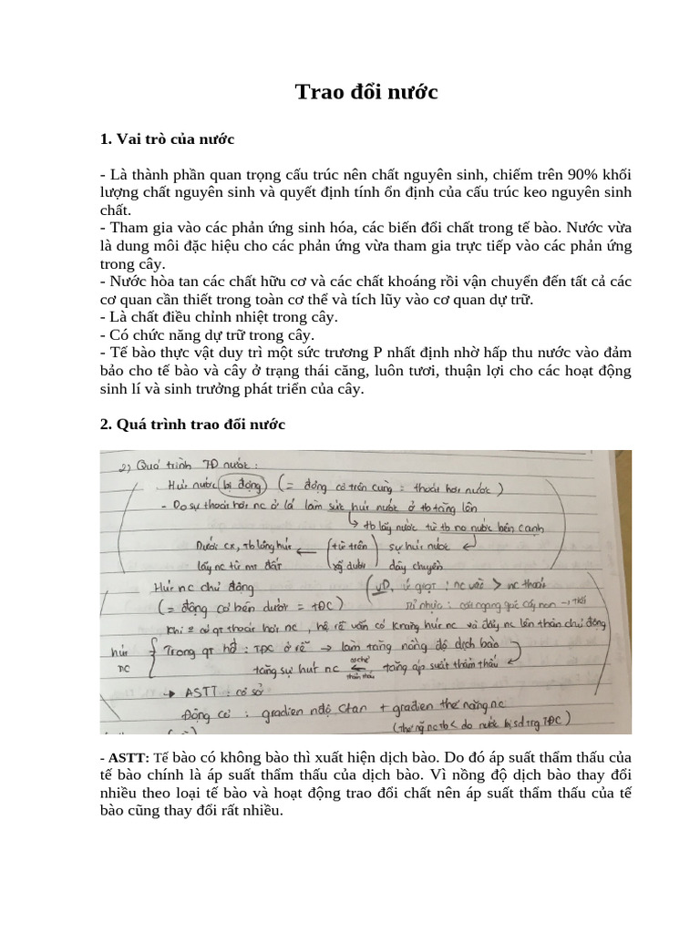 Đề cương SLH TV | PDF