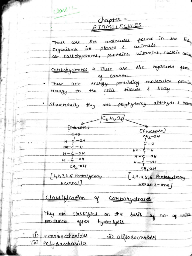 biomolecules class 12 | PDF