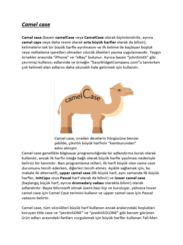 Camel Case | PDF