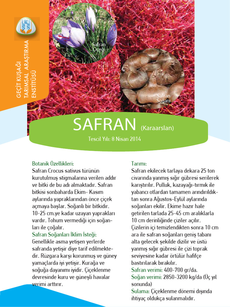 Safran (Karaarslan) Yetiştiriciliği | PDF
