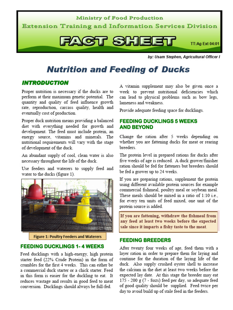 Nutrition and Feeding of Ducks April 2014 CB Web | PDF | Flour | Meat